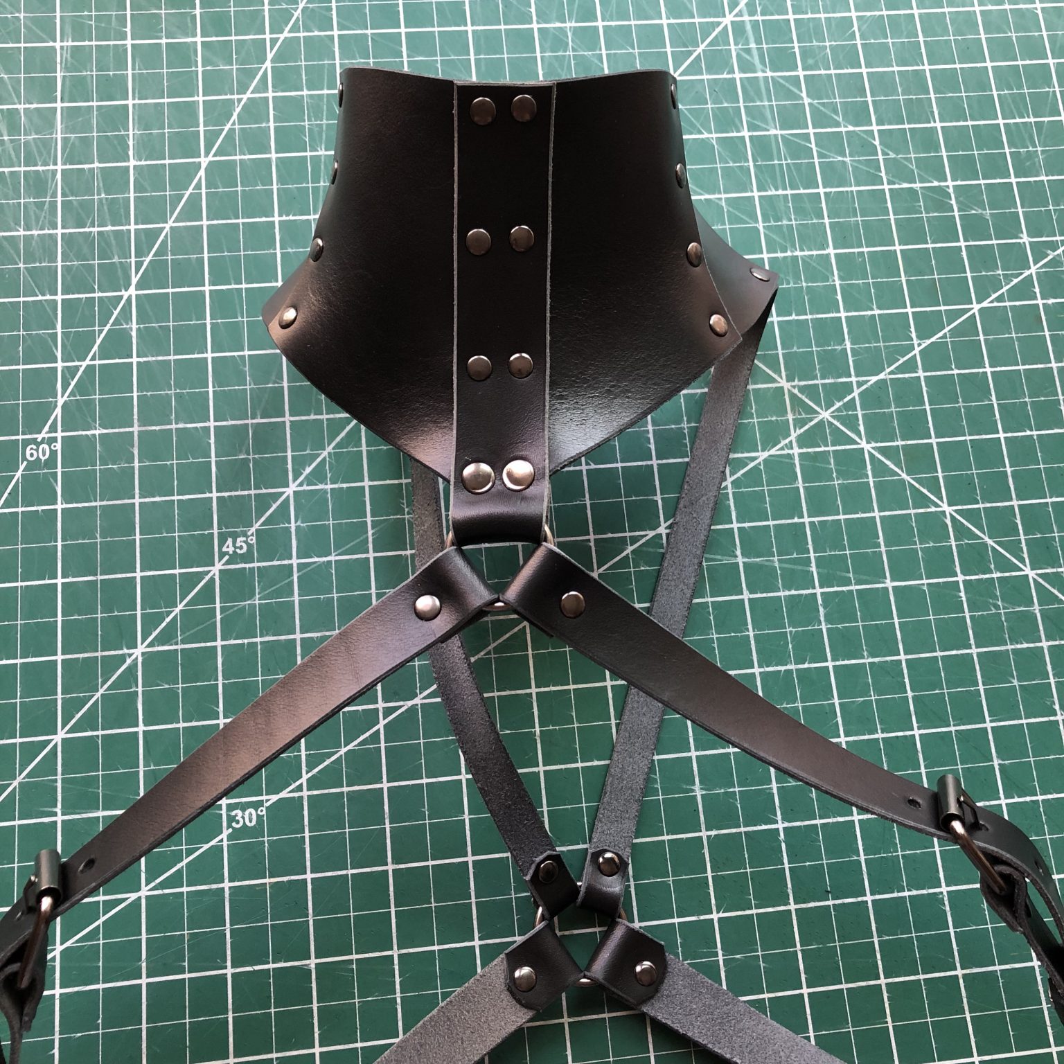 Stigma Black Leather Posture Collar Harness | LoveLornLingerie